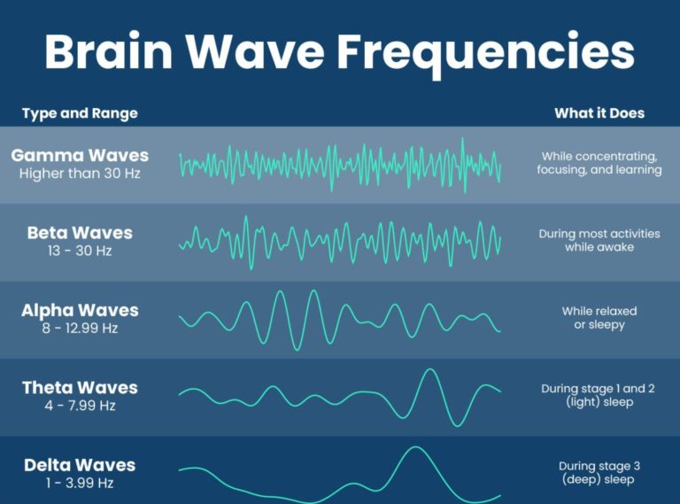 Brain waves