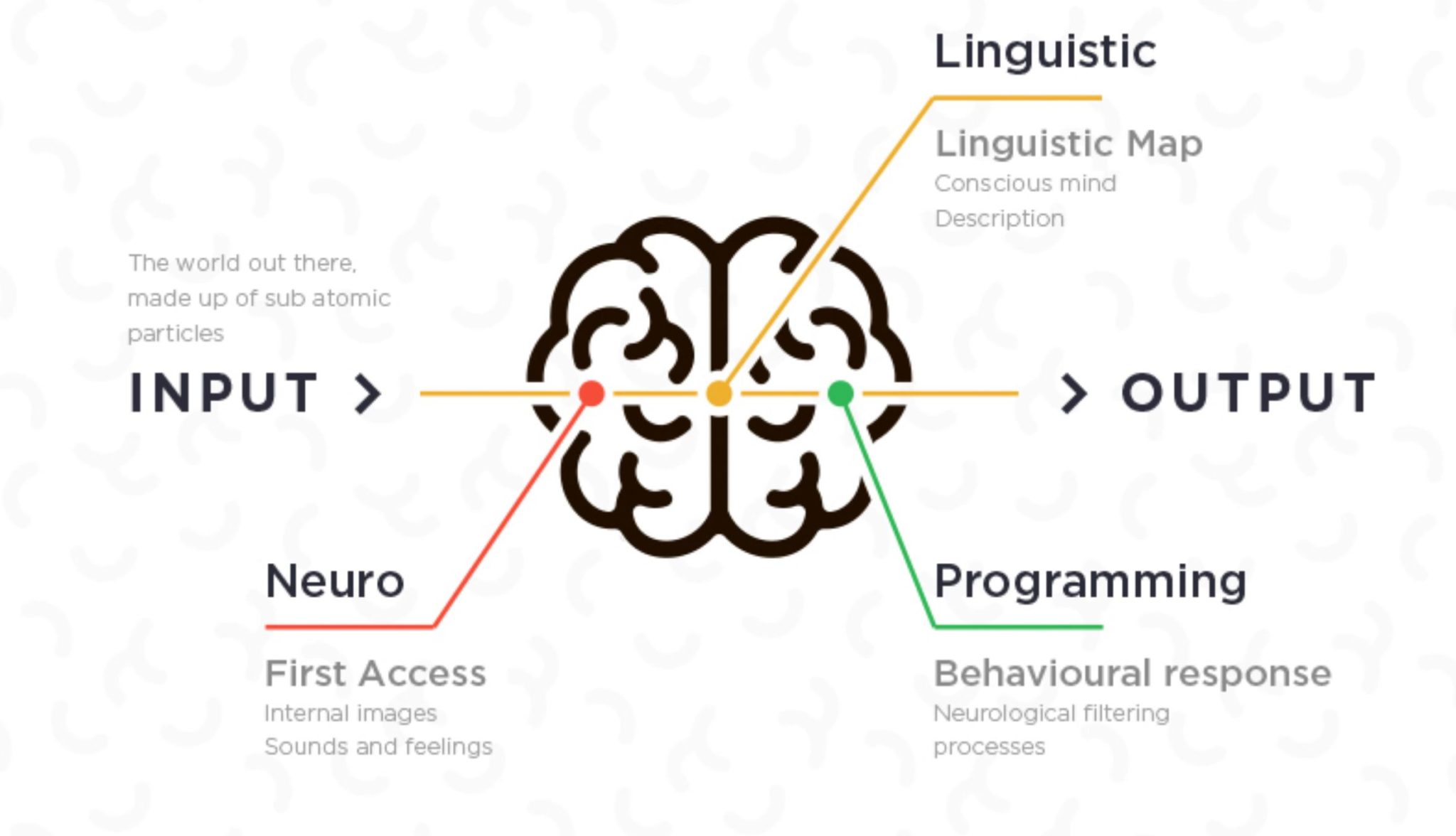 The John Grinder Model for Performance - Hypnotherapy & 5D Healing